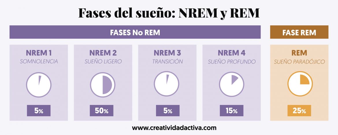 7 beneficios de dormir bien - Creatividad Activa